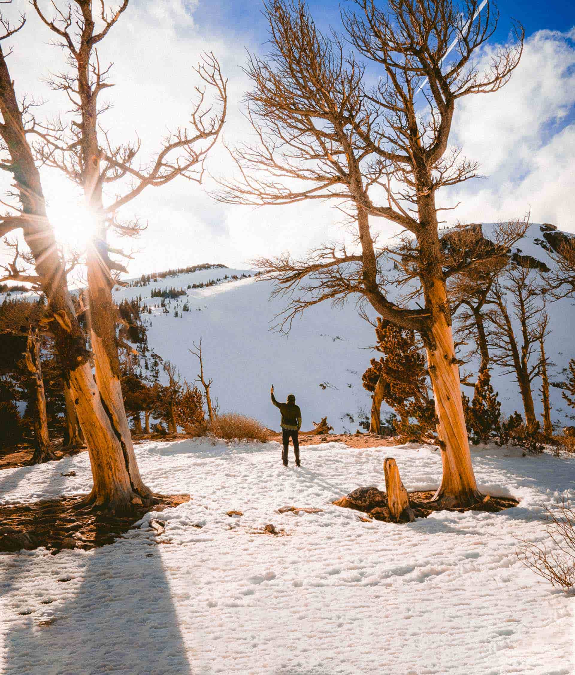 About SPOT Company | Saved by SPOT | US